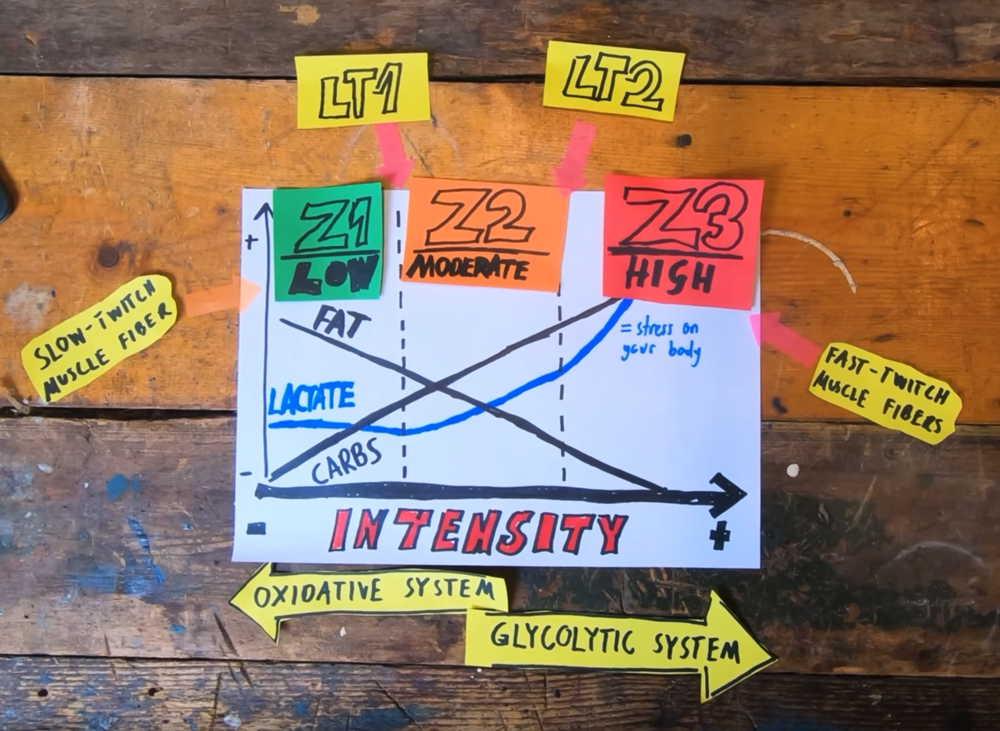 Training Zones - John Mathews